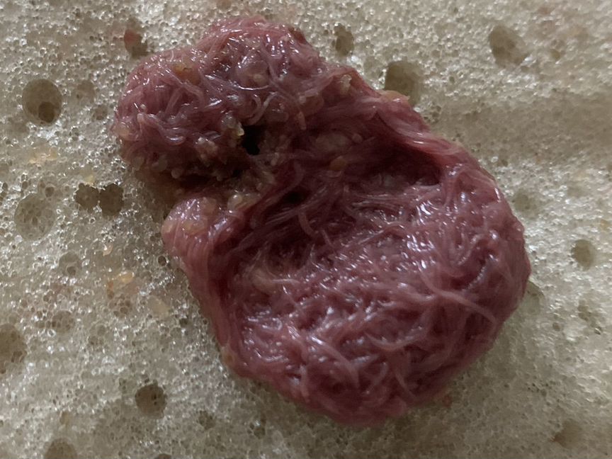 Трубочник Изя