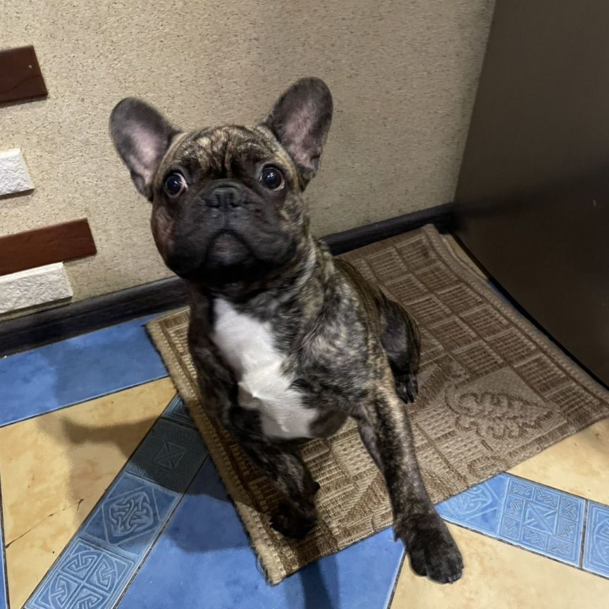 Ооочень добрый