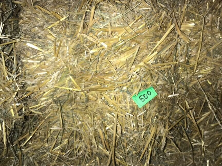 Сено солома в тюках аннинский район