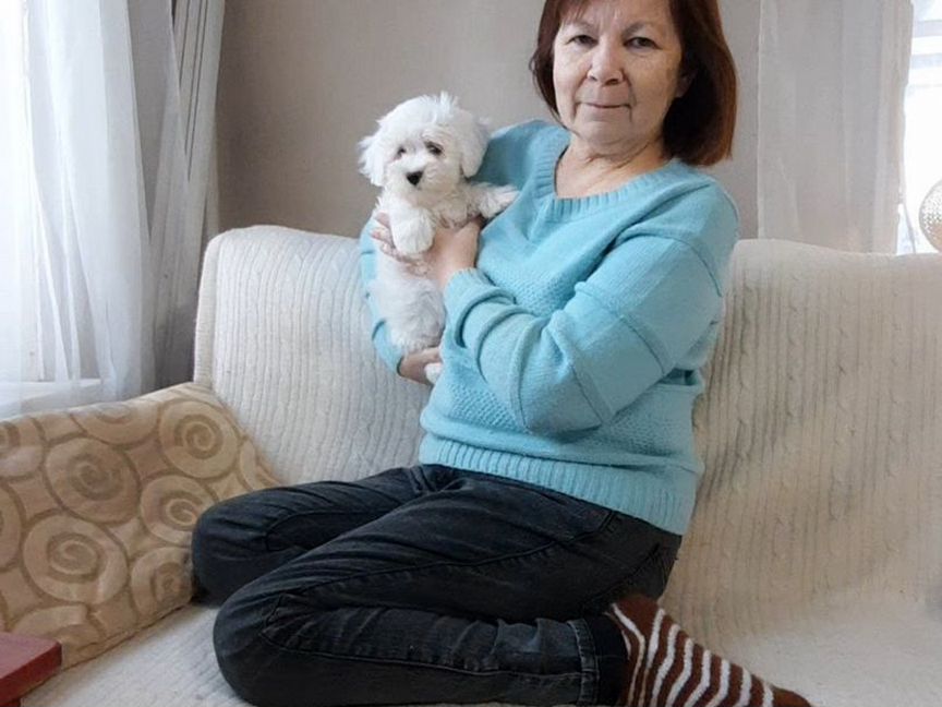 Глазки бусинки