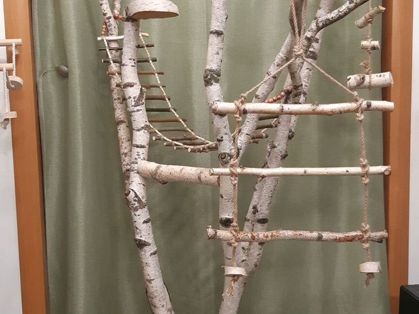 Игрушки, стенд-присада для попугаев