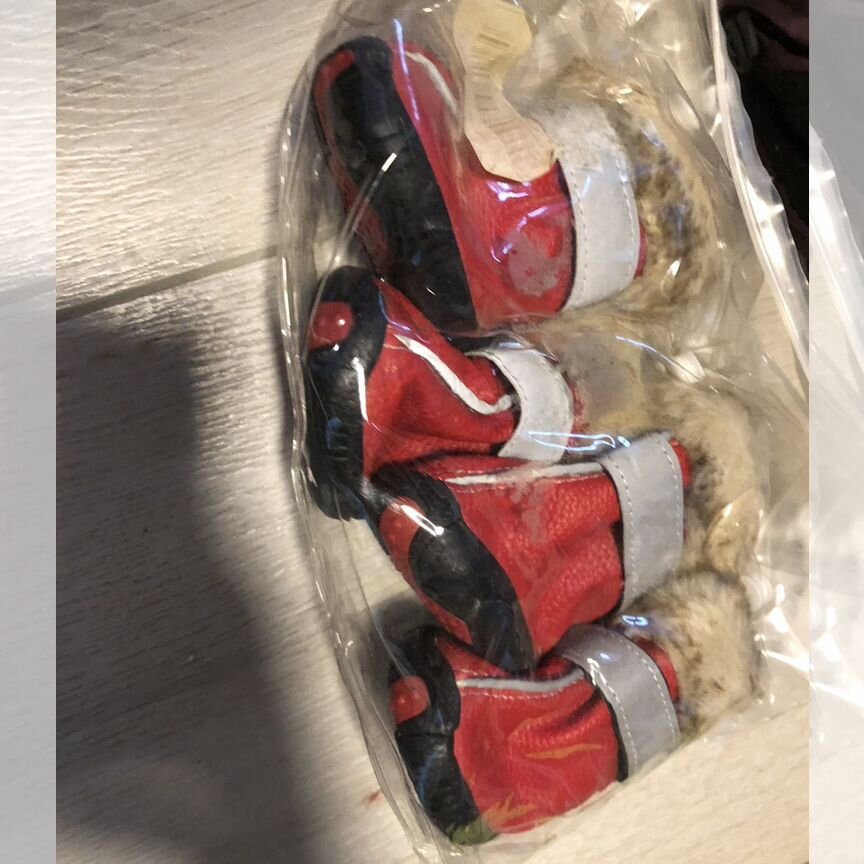 Обувь для собак