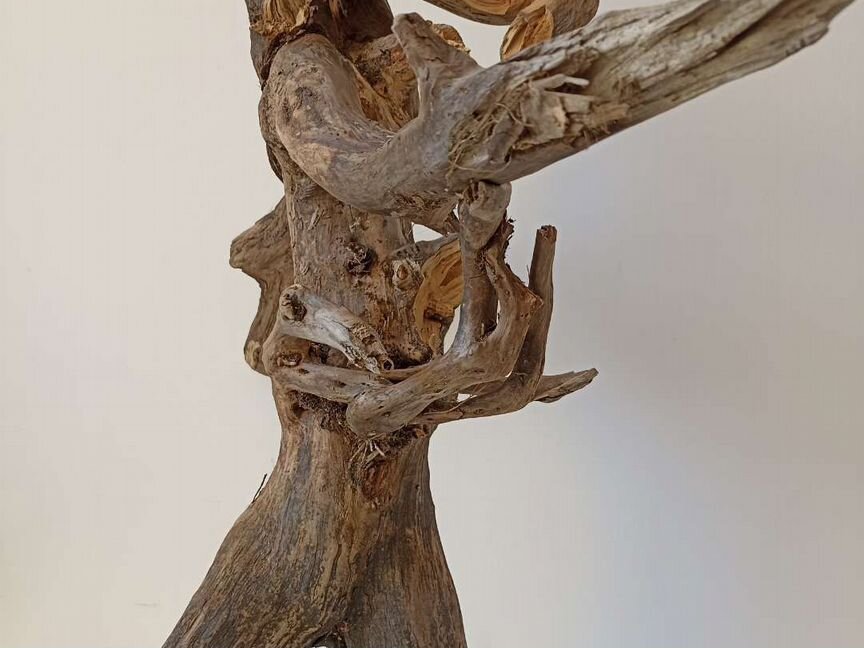 Коряга для декора