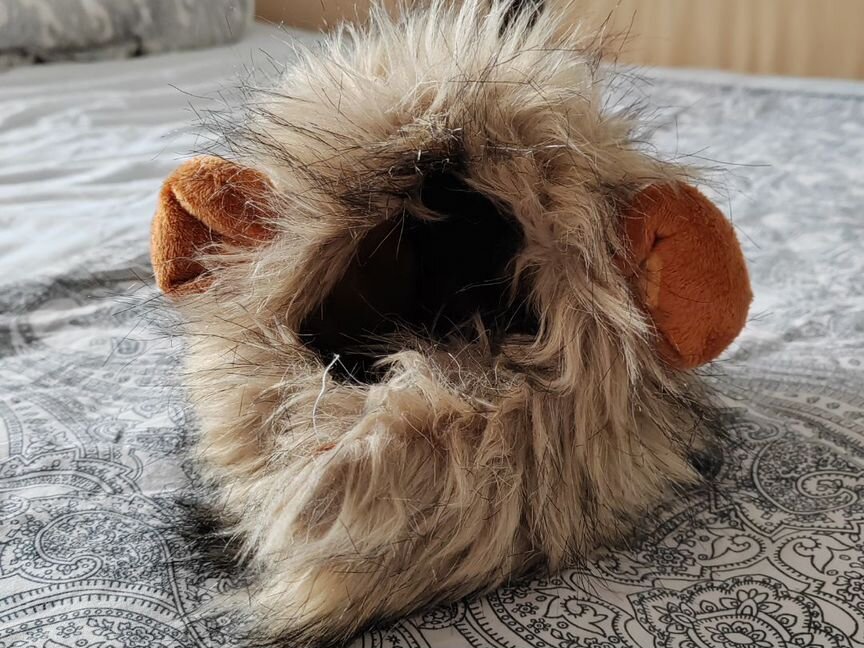 Шапка для кота лев