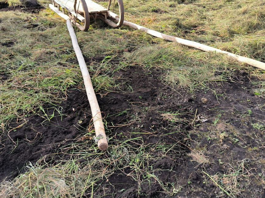 Конные сани