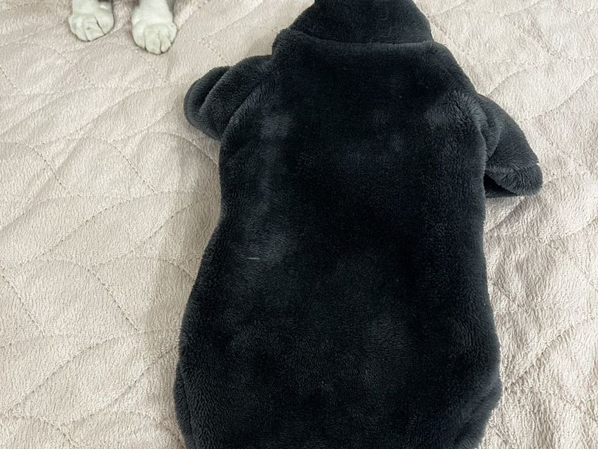 Кофта для кошки