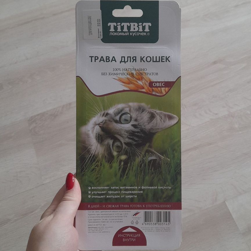 Трава для кошек