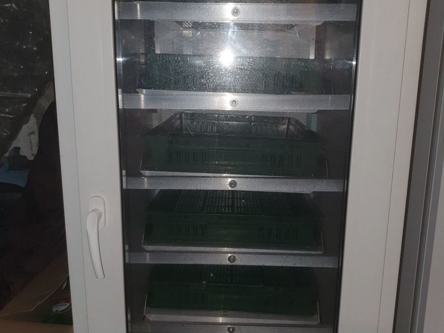 Инкубатор Блиц 520