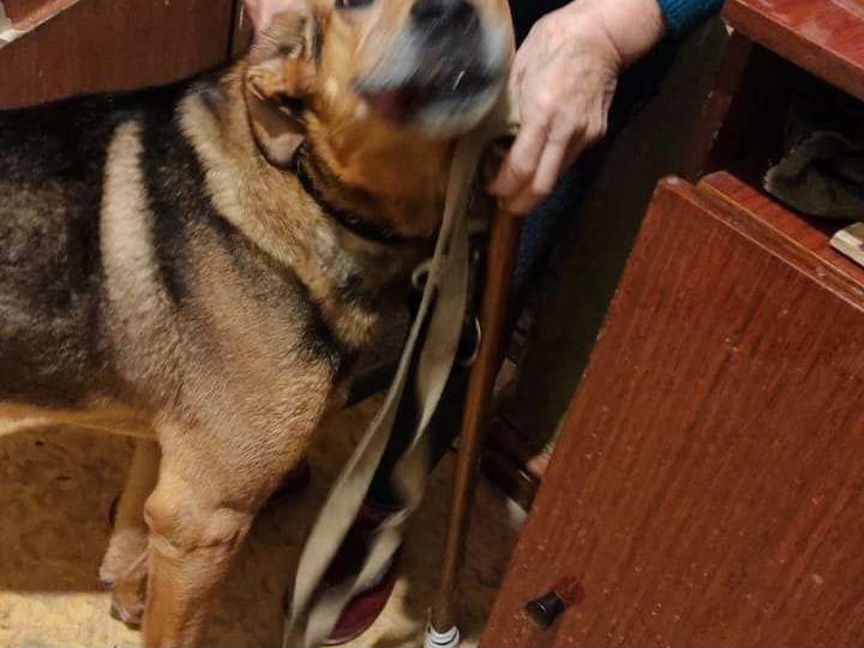 Дику нужен дом