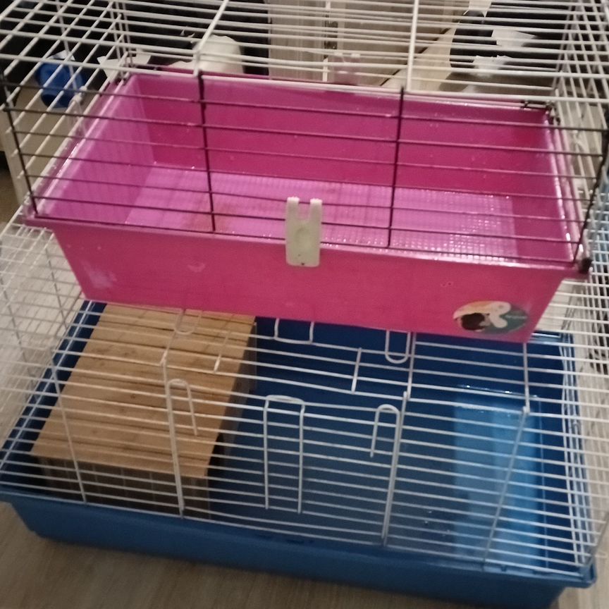 Клетки для грызунов б/у