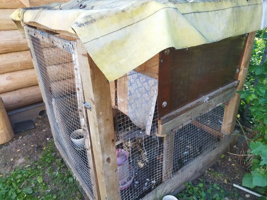 Курятник бу + 4 курицы