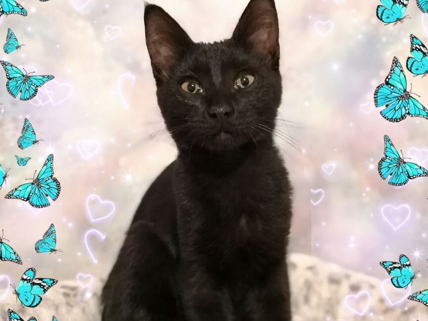 Заберите чудо