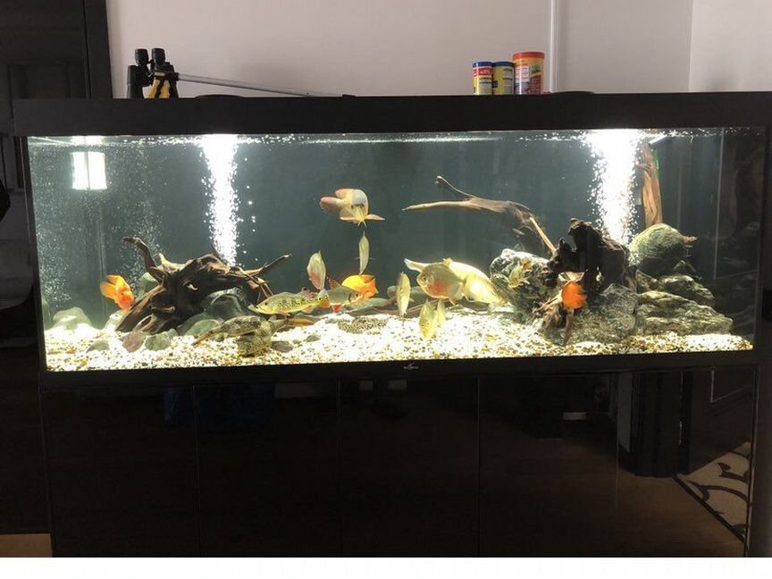 Аквариум с тумбой 850