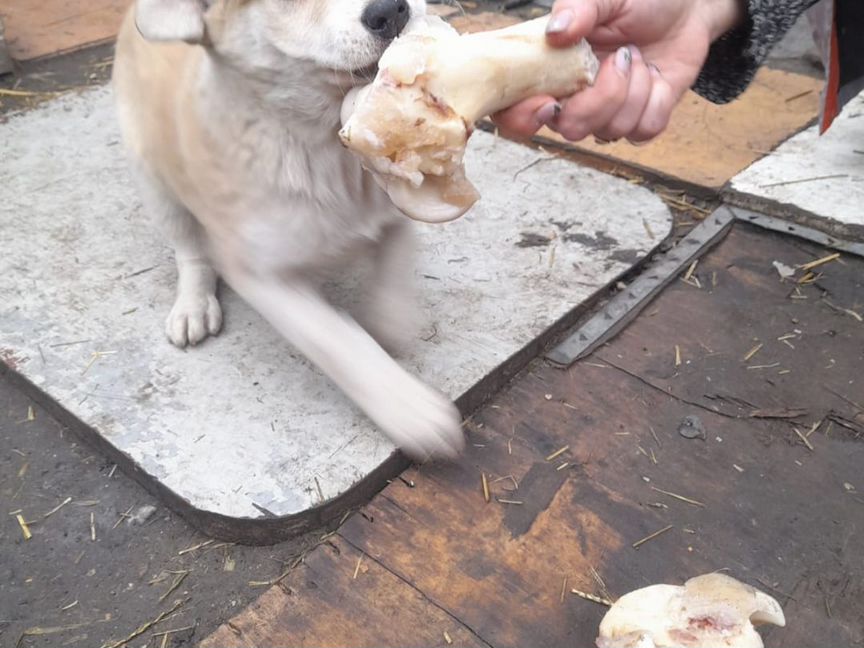 День добрых дел