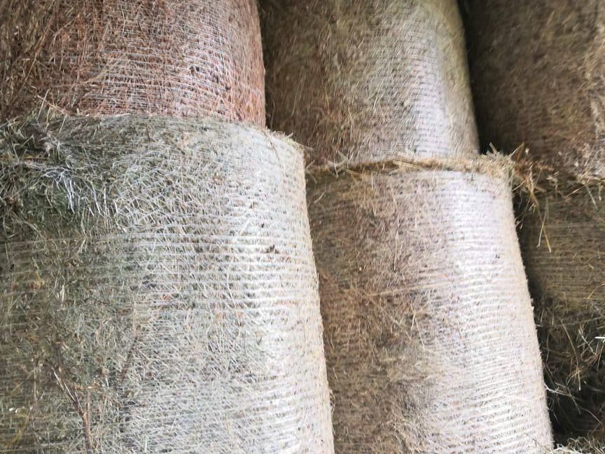 Сено в рулонах