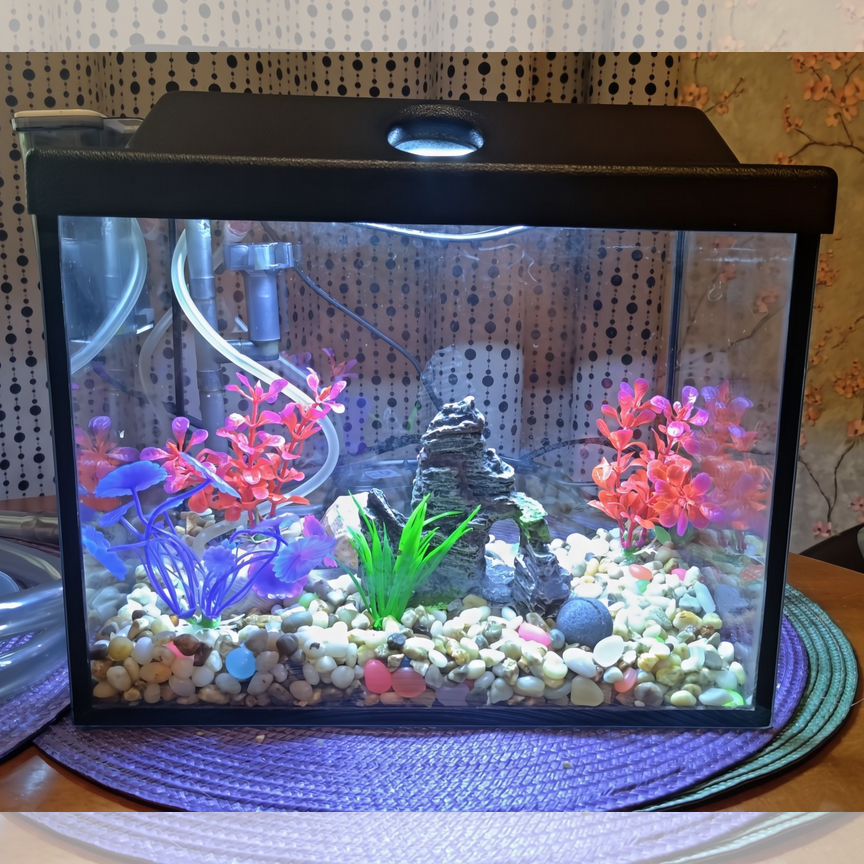 Аквариум 10 литров