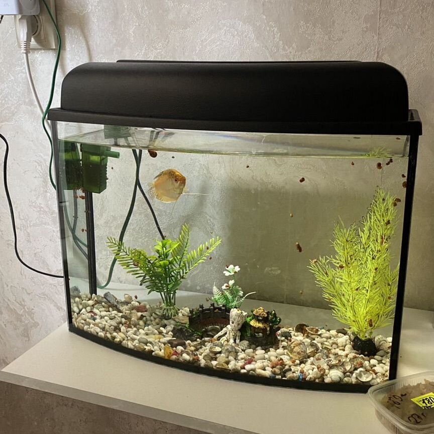 Аквариум с рыбками 30 литров