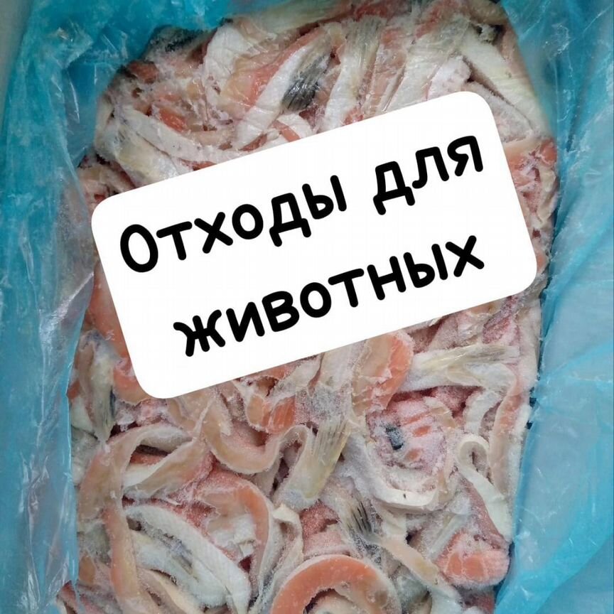 Пищевые отходы для животных