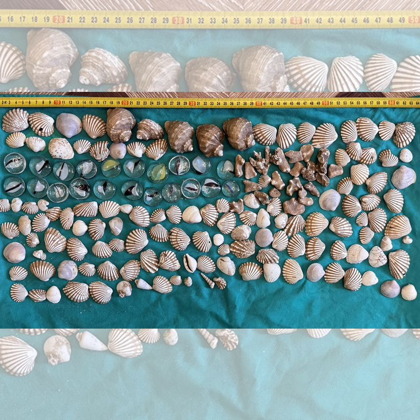 Аквариумные камешки и ракушки