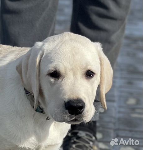 Малыш ждет маму