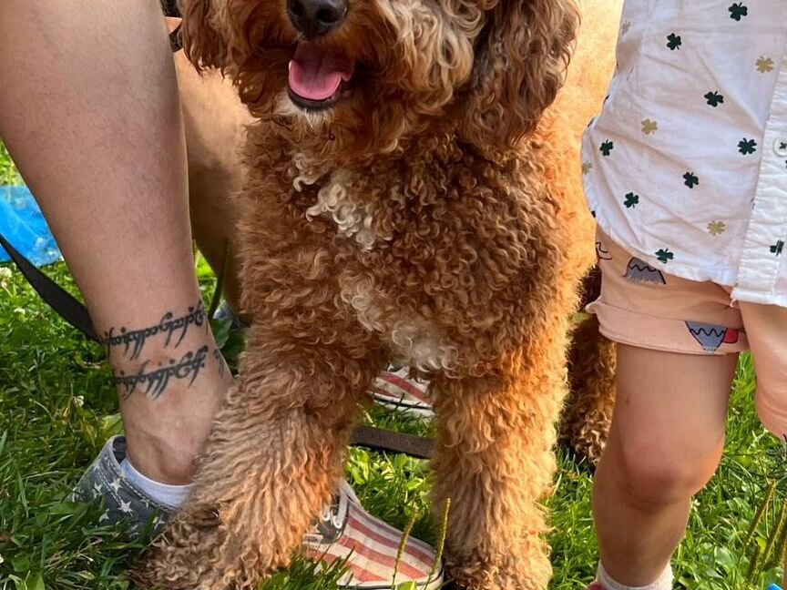 Кокапу вязка