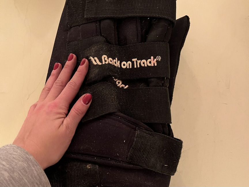 Ногавки денниковые Back on track