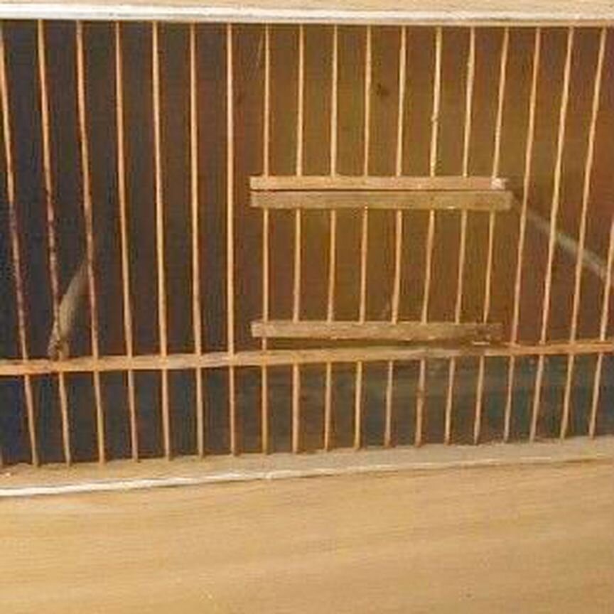 Клетка для птиц ящечного типа большая