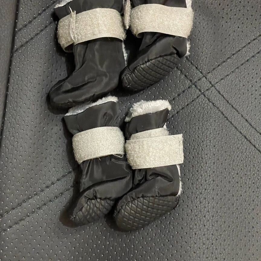 Тапочки для животных