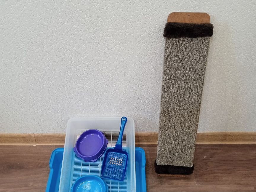 Набор для кошек