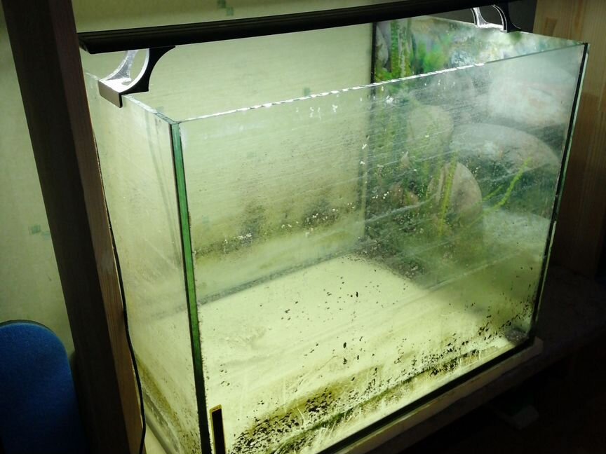 Аквариум 100 литров