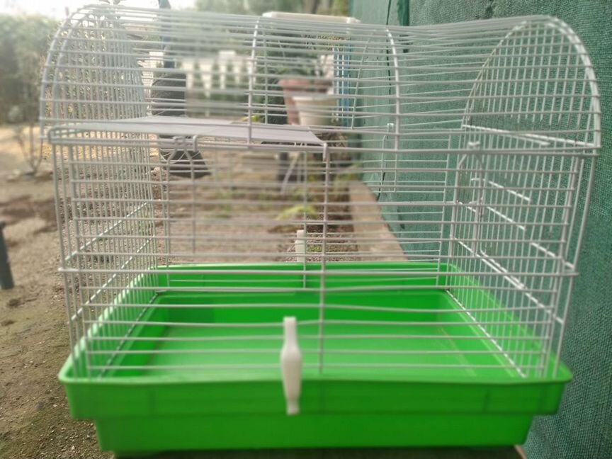 Клетка