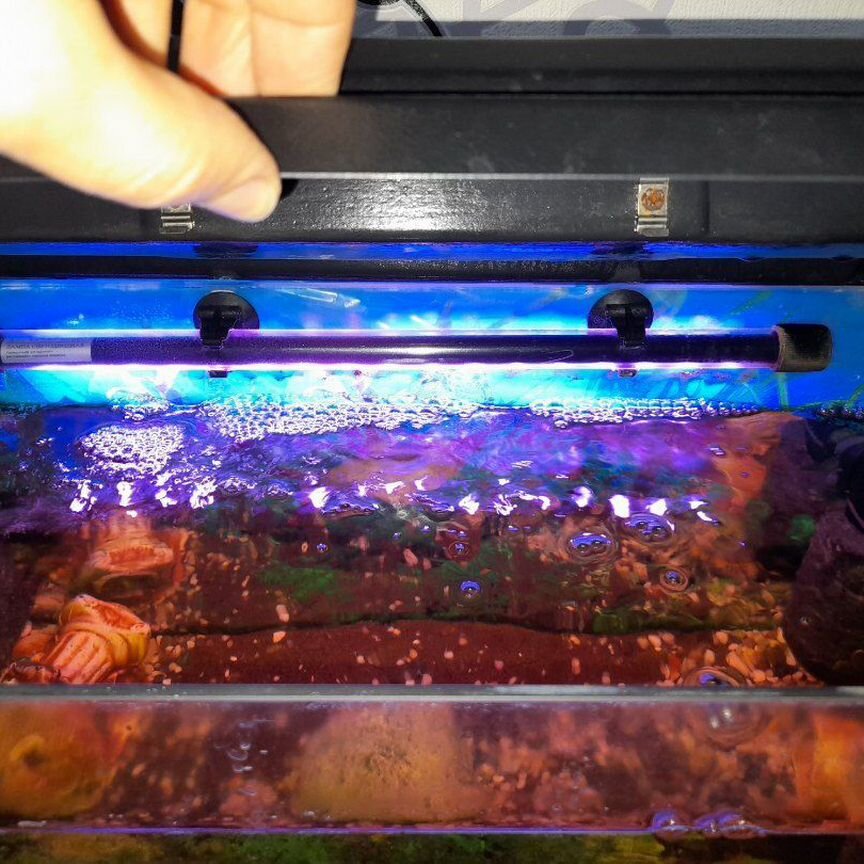 Аквариум и рыбки