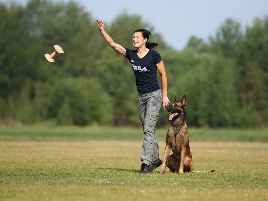 Щенки бельгийской овчарки малинуа