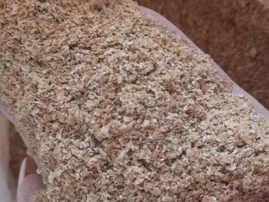 Отруби пшеничные оптом