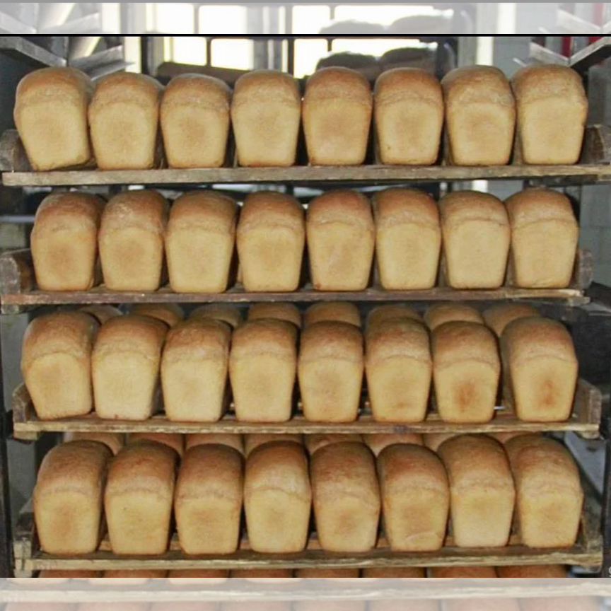 Хлеб для животных и овощи