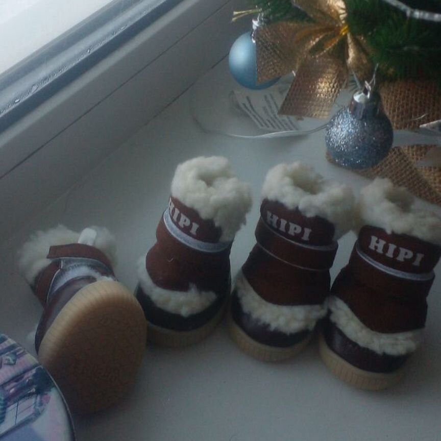 Сапоги зимние для собак мелких пород