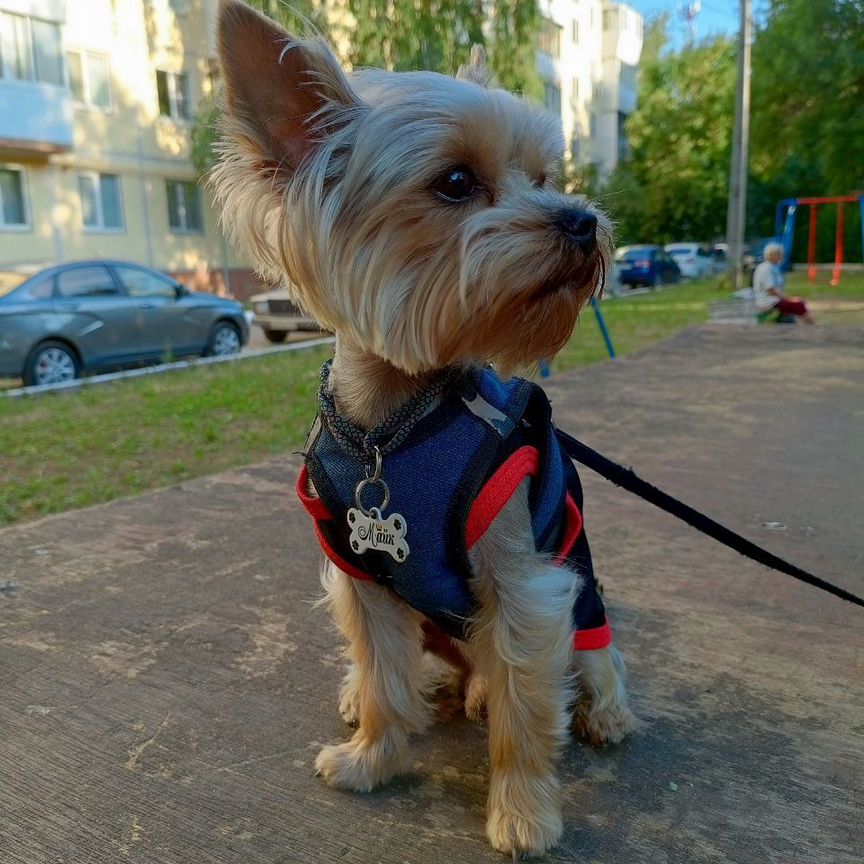 Кабель на вязку йорк