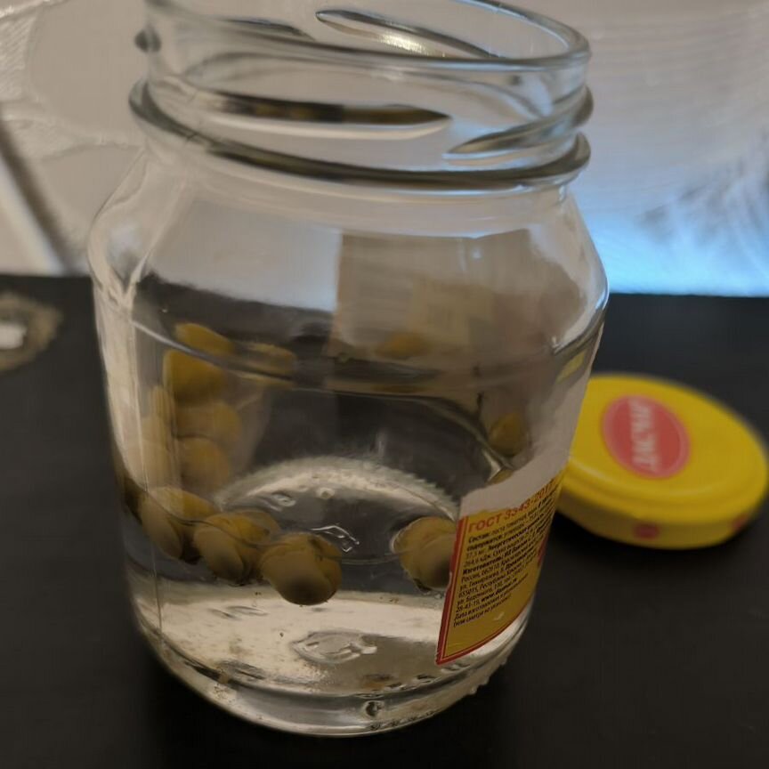 Отдам аквариумных улиток