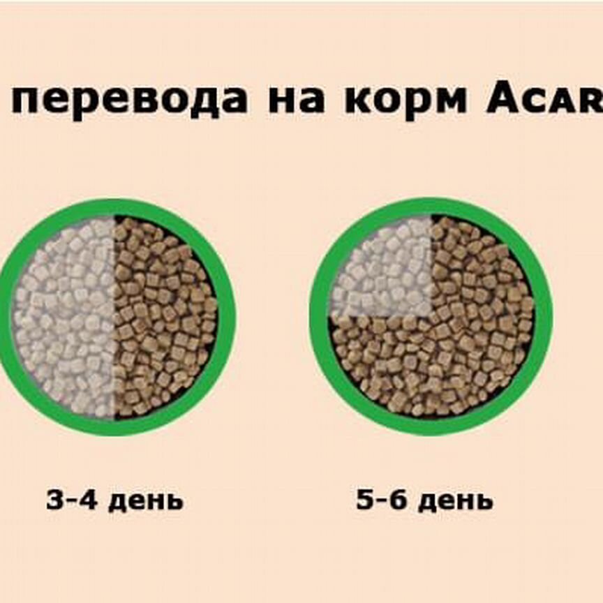 Acari Ciar: корма для собак и кошек в наличии и по