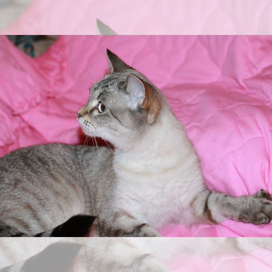 Мальчик 5 месяцев, ищем дом