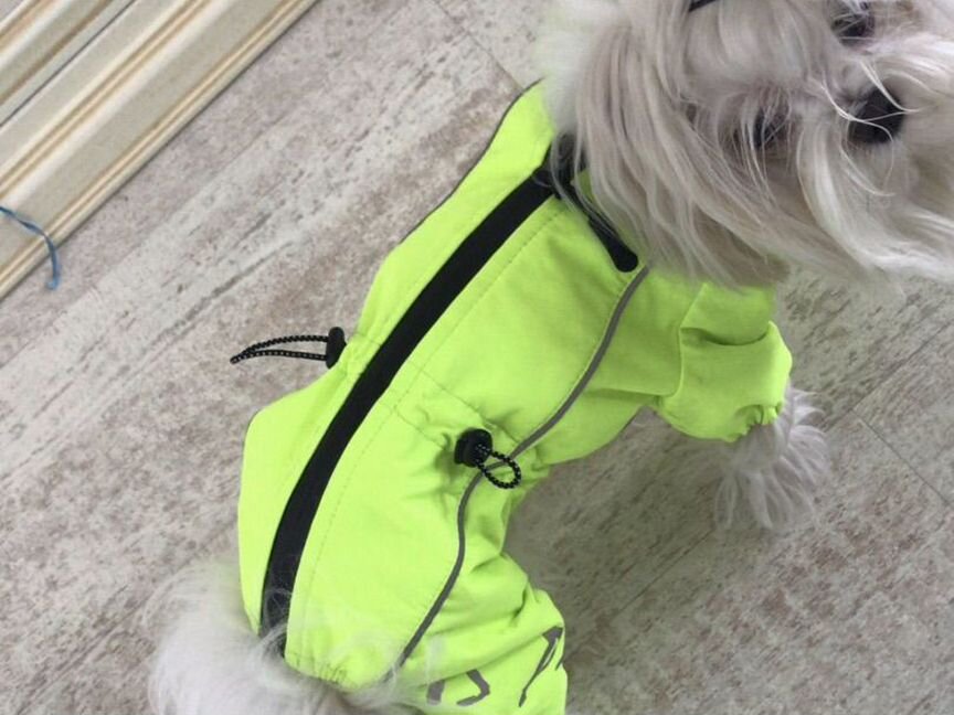 Комбинезон для маленькой собаки