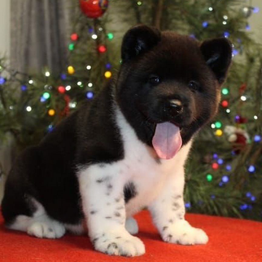 Парень красавчик