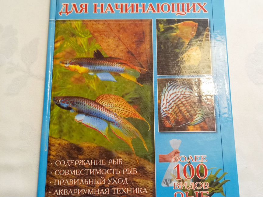 Аквариум для начинающих