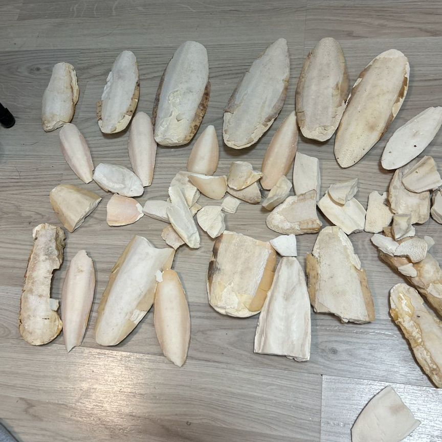 Продаю сепию