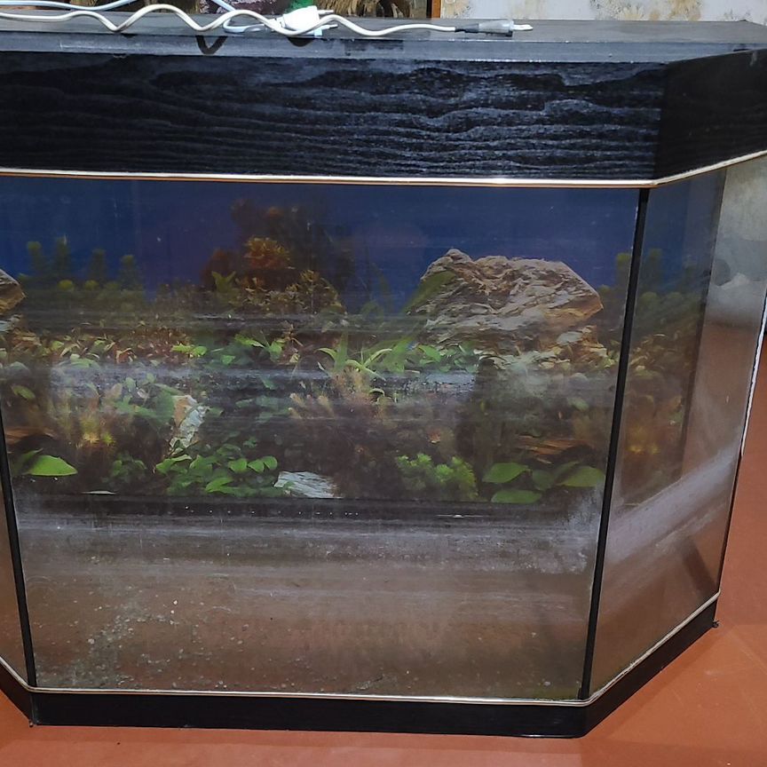 Аквариум 160 литров