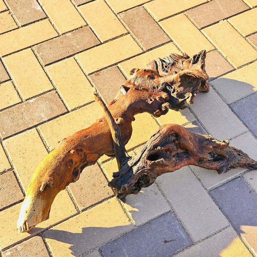 Коряги для аквариума