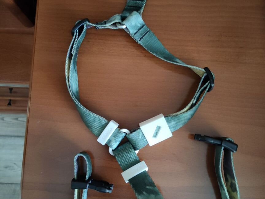 Новая шлейка для собаки фирма staya