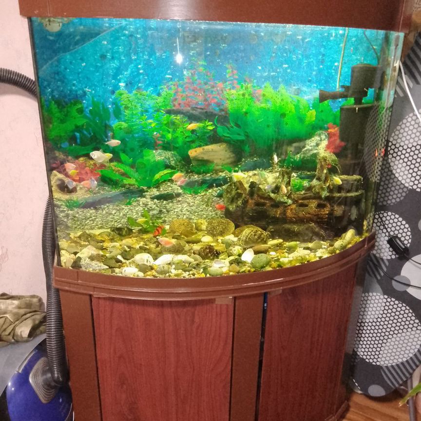 Аквариум с тумбой 250 литров