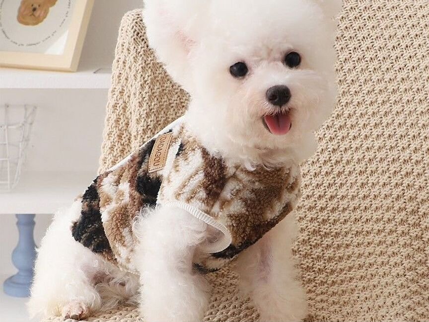 Одежда для собак мелких пород - Стильная жилетка