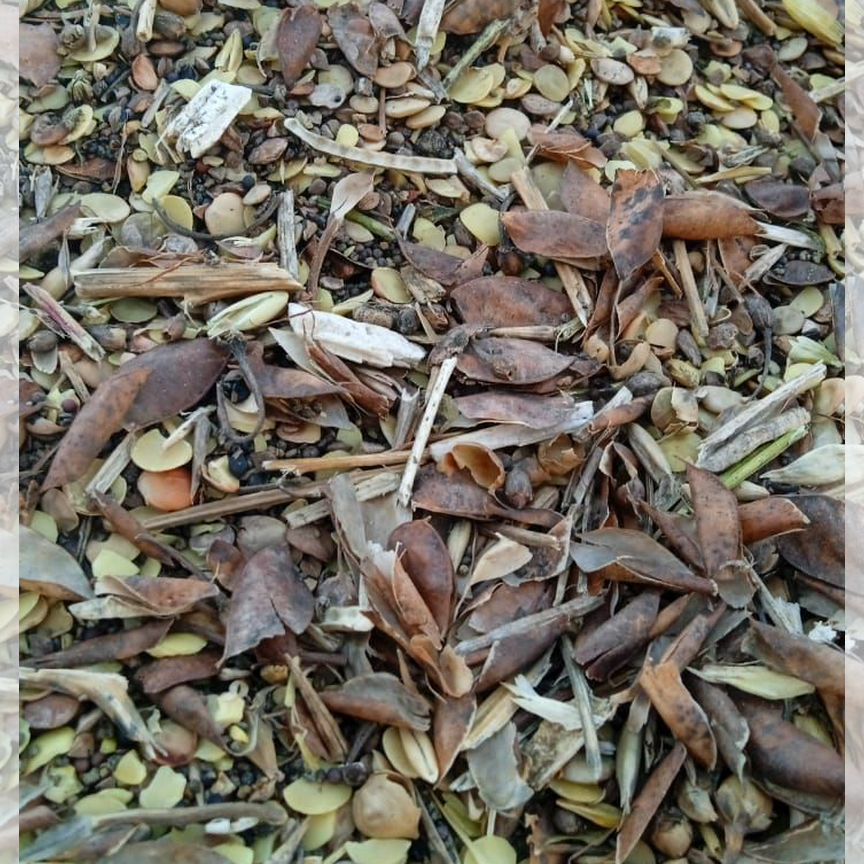 Зерновые отходы, ячменя, горошка, овса,шелухи овса